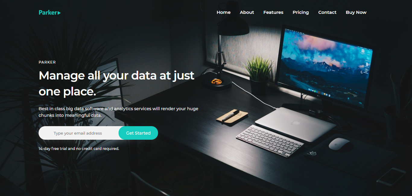 Parker Software and Startup Landing Page Template - GoHi Digital